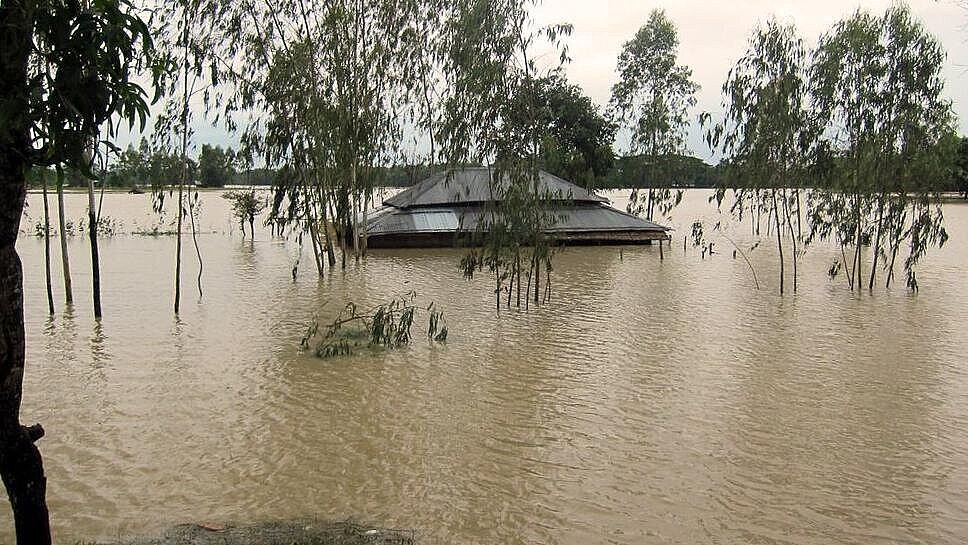 Die Katastrophe in der Katastrophe | Plan Österreich