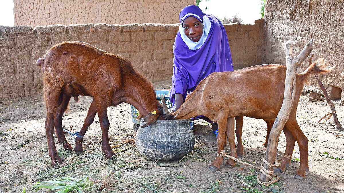 Hungerkrise in Niger | Plan Österreich
